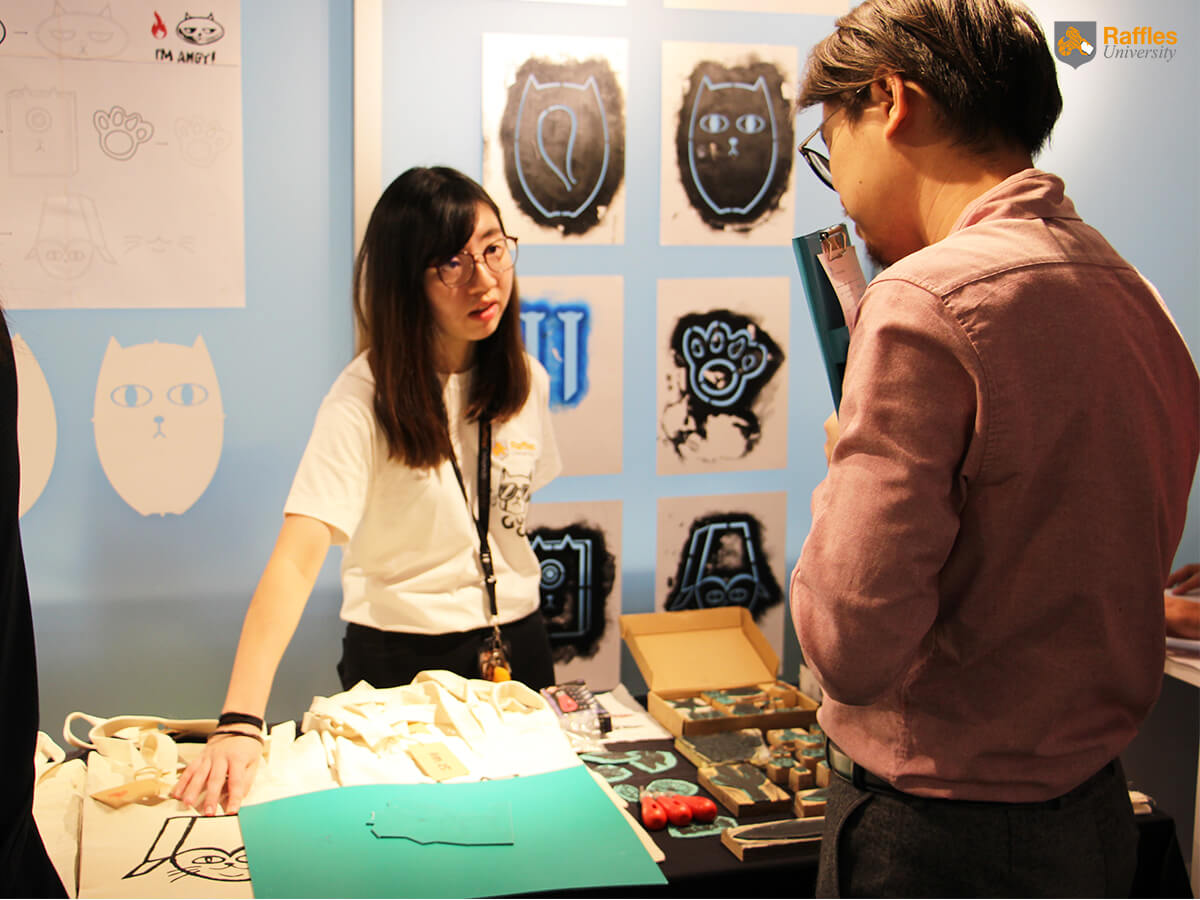 Diploma in Visual Communication - Raffles University