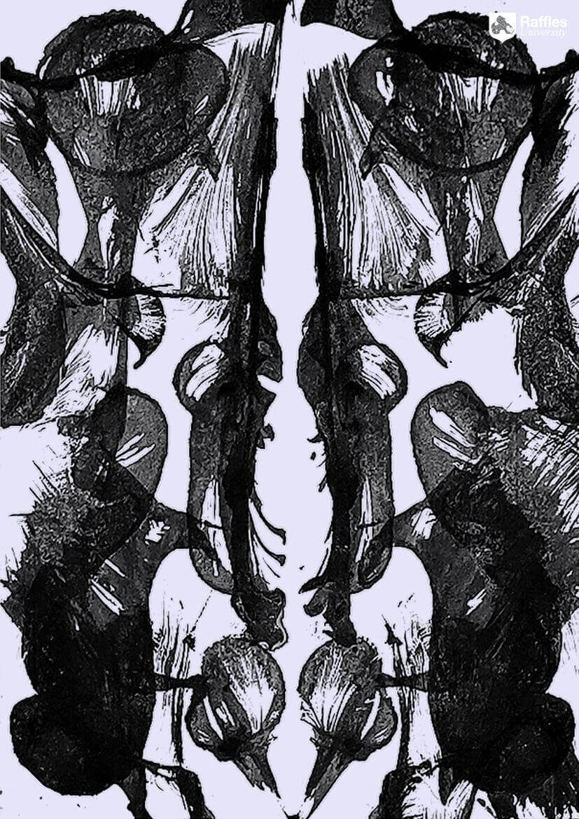 Visual Studies - Raffles University