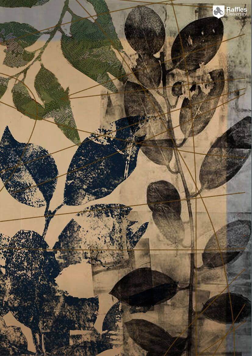 Visual Studies - Raffles University