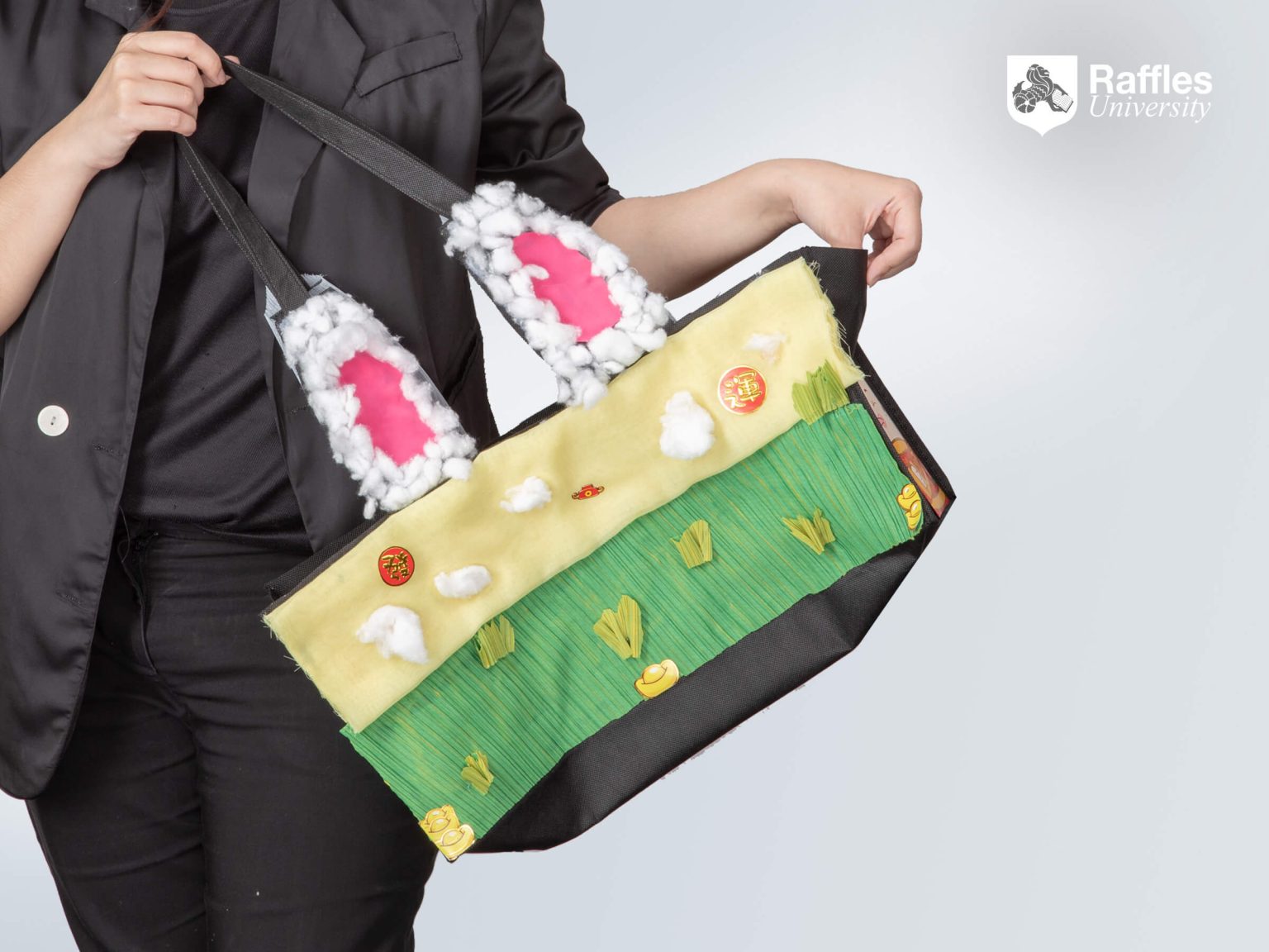 Master of Design - [ODL] - Raffles University