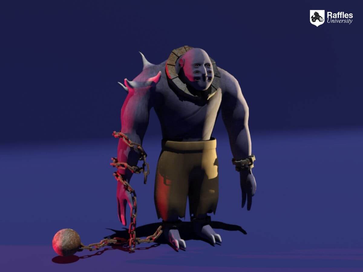 Portfolio - Raffles University