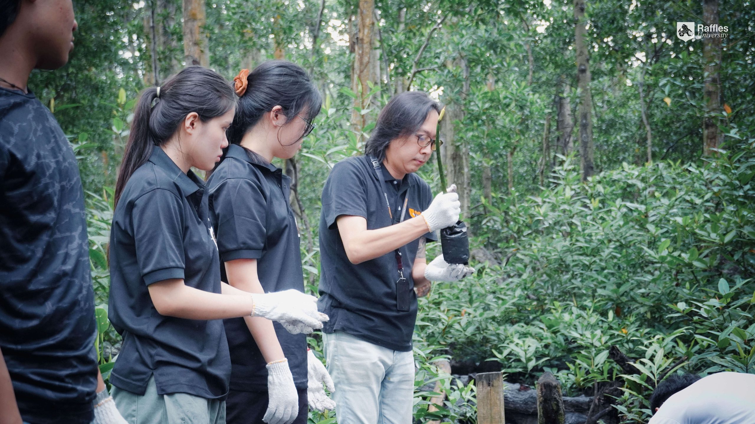 Mangrove Tree Planting Programme: Field Trip to Tanjung Piai - Raffles University