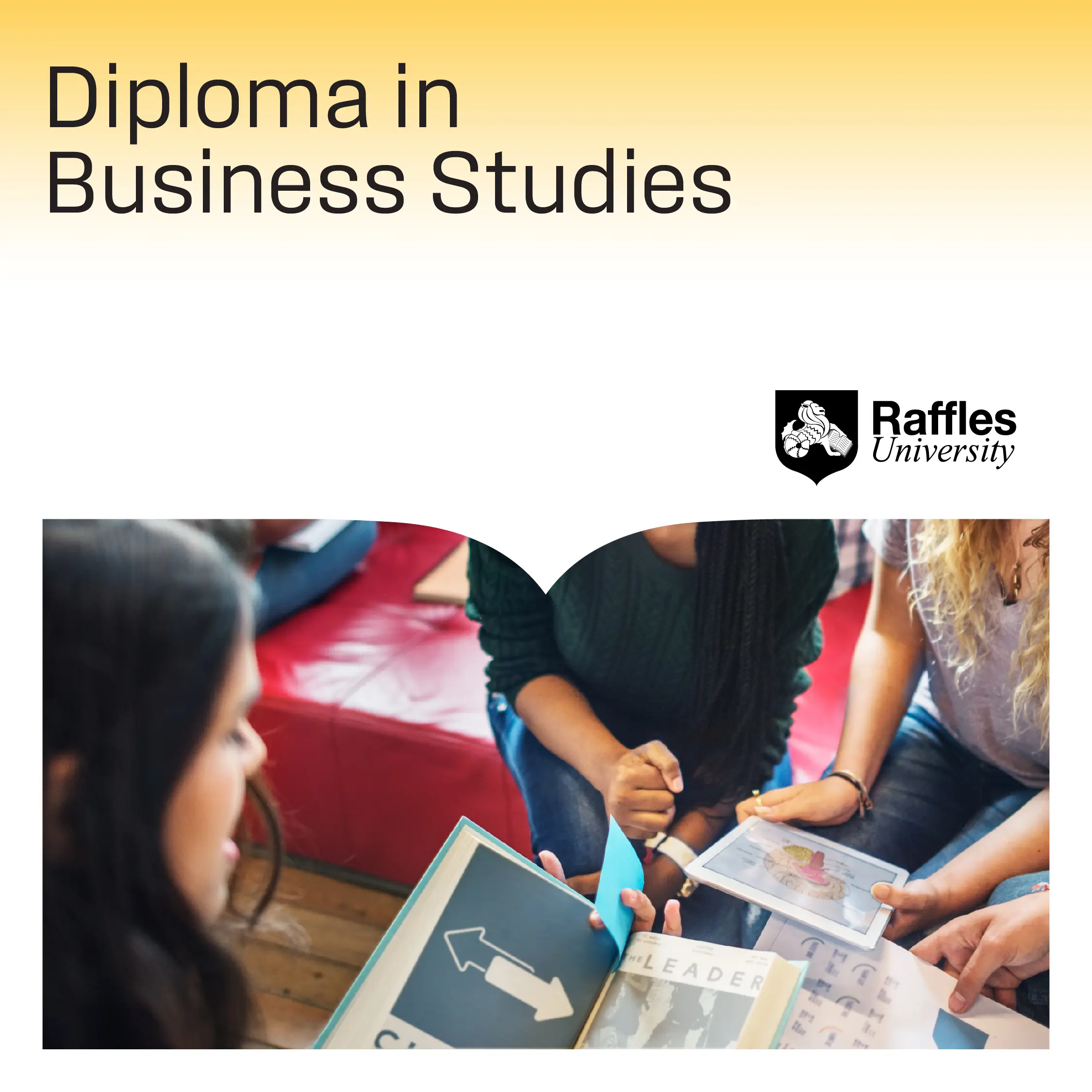 Diploma in Business Studies - Raffles University