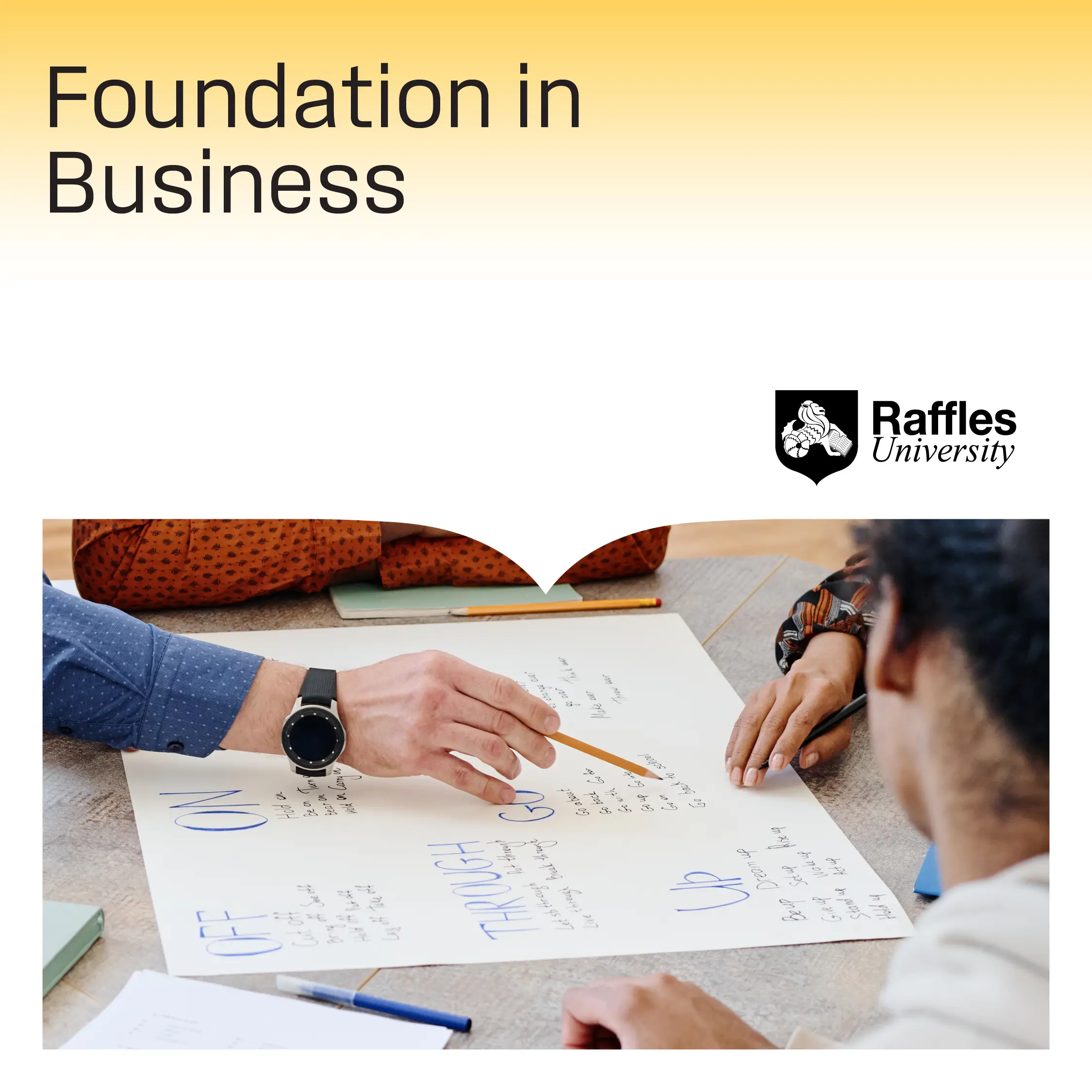 Foundation in Business - Raffles University