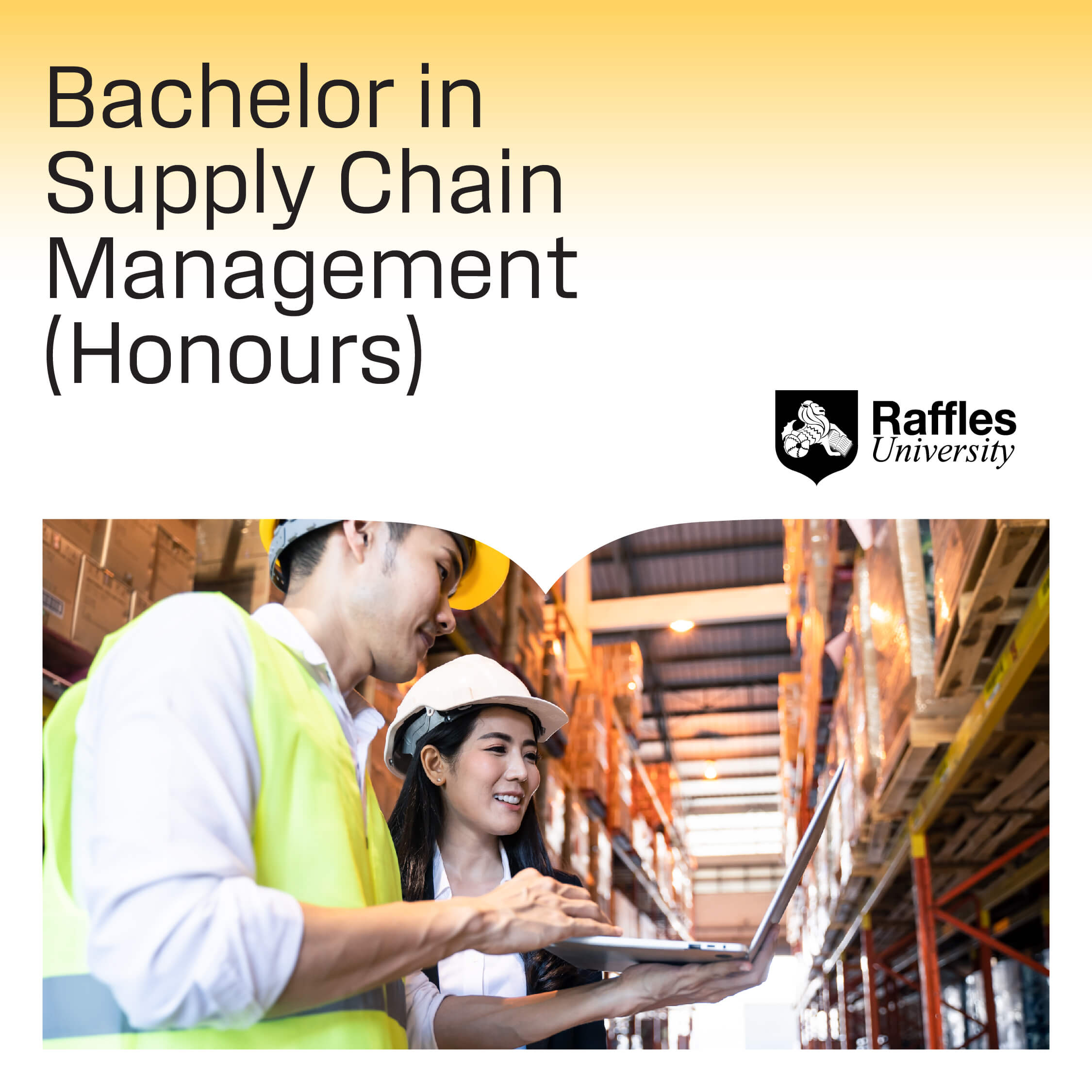 Bachelor in Supply Chain Management (Honours) - Raffles University