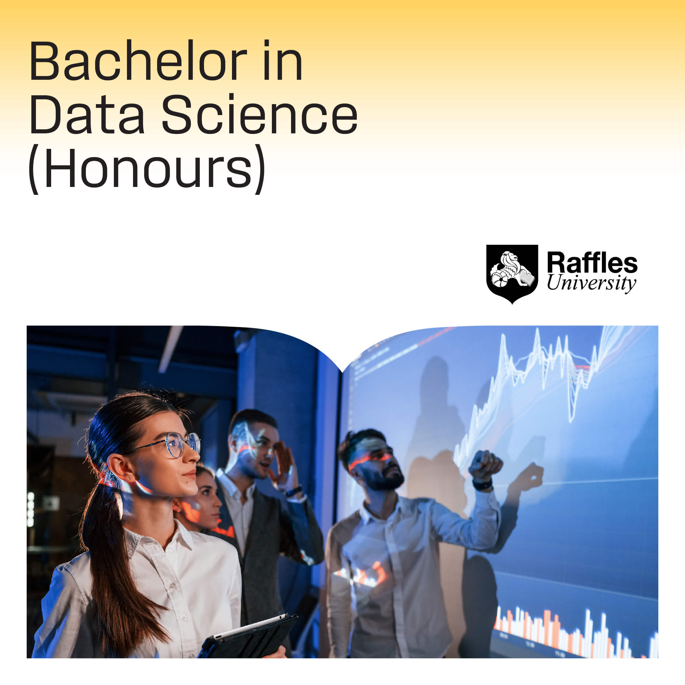 Bachelor in Data Science (Honours) - Raffles University